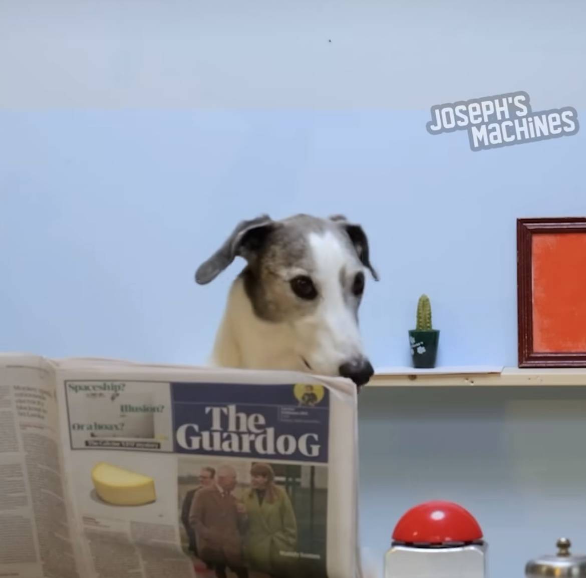 TikToker återskapar frukostmaskinen från "Wallace and Gromit" och blir ...