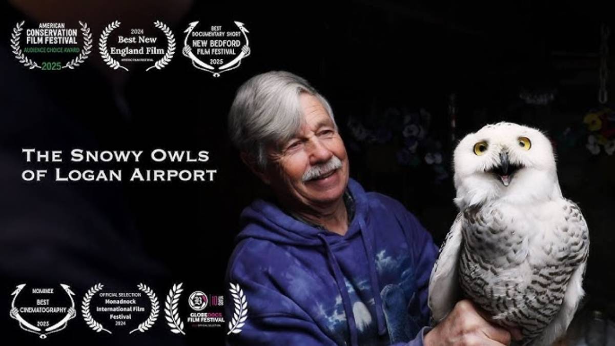 Documentary reveals the extraordinary work of the man who has already ...